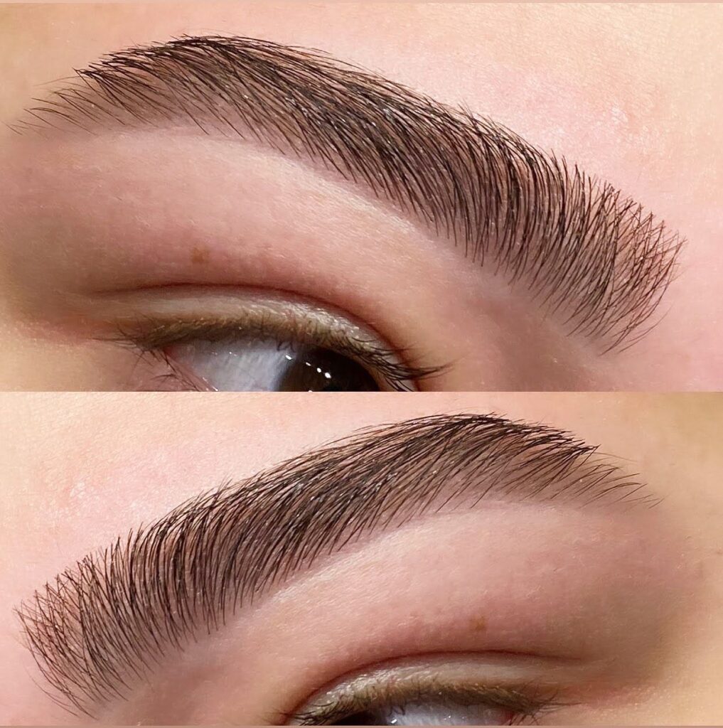 Choose Best Services For Yourself – Victoria's Brows And Beauty